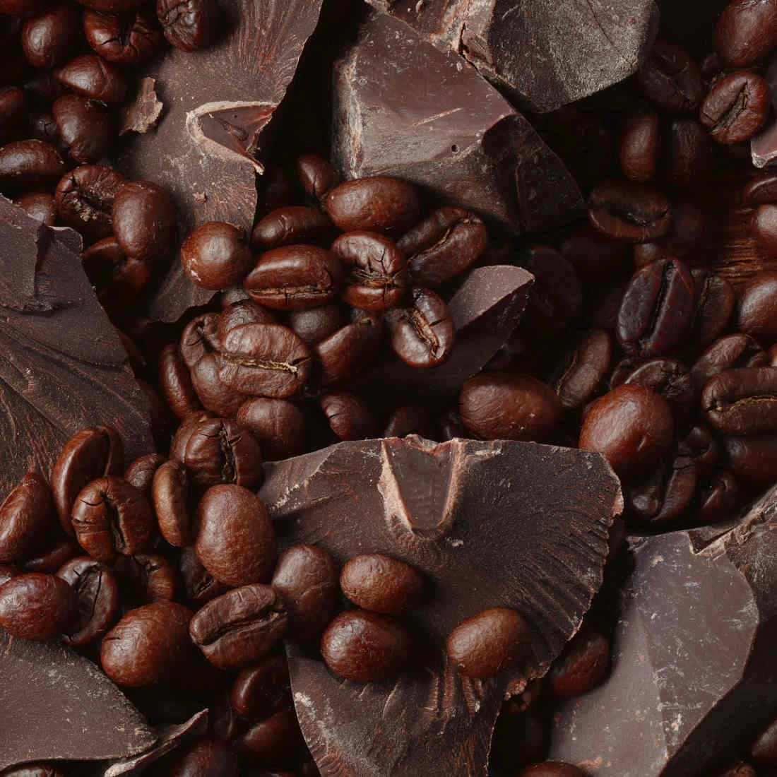 Gourmet Coffee